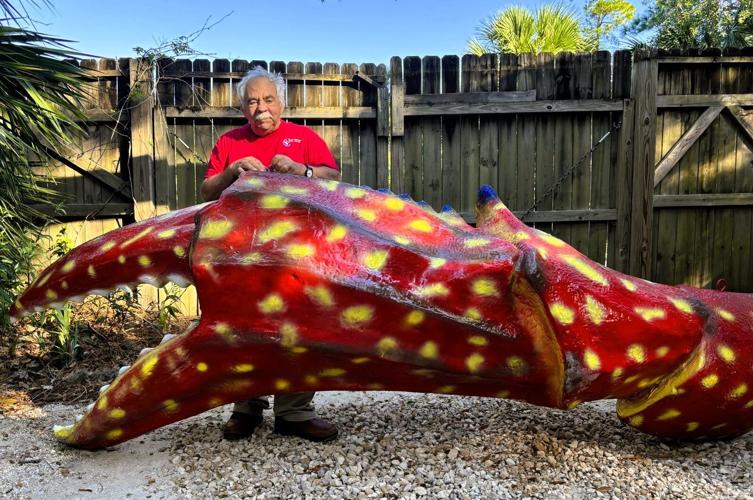 Panacea Aquarium New Installation | Local News | chronicleonline.com