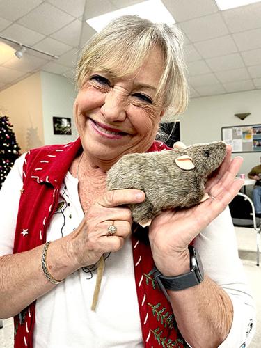 'Accidental' Christmas comedy goes on stage Dec. 22 | Entertainment in ...