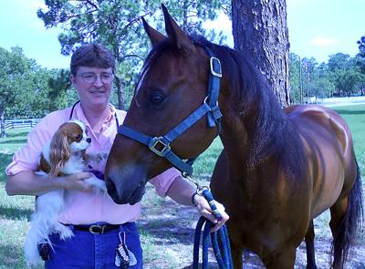 For pets and ponies, July Fourth no blast | Local News ...