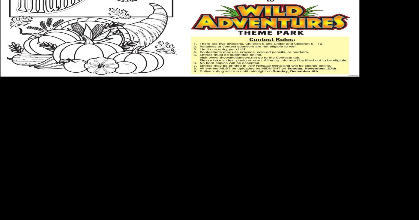 Wakulla Thanksgiving Coloring Contest 2022 | Coloring | chronicleonline.com