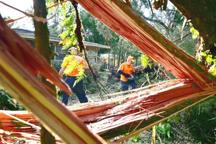 Crystal River cleanup still underway | Local News | chronicleonline.com