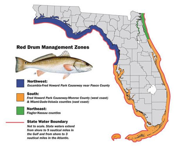 FWC proposes changes to state's rules on redfish angling | Local News ...