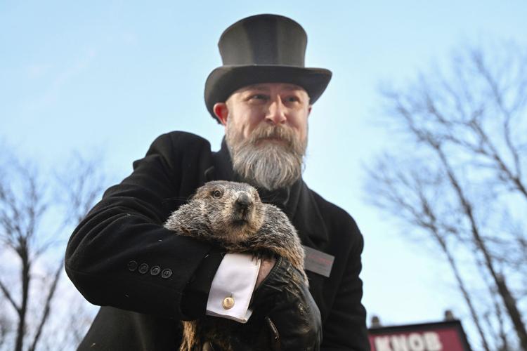 Groundhog's shadow falls on Citrus County | Local News ...