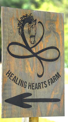 Horse-powered therapy: Healing Hearts Farm uses miniature horses to ...