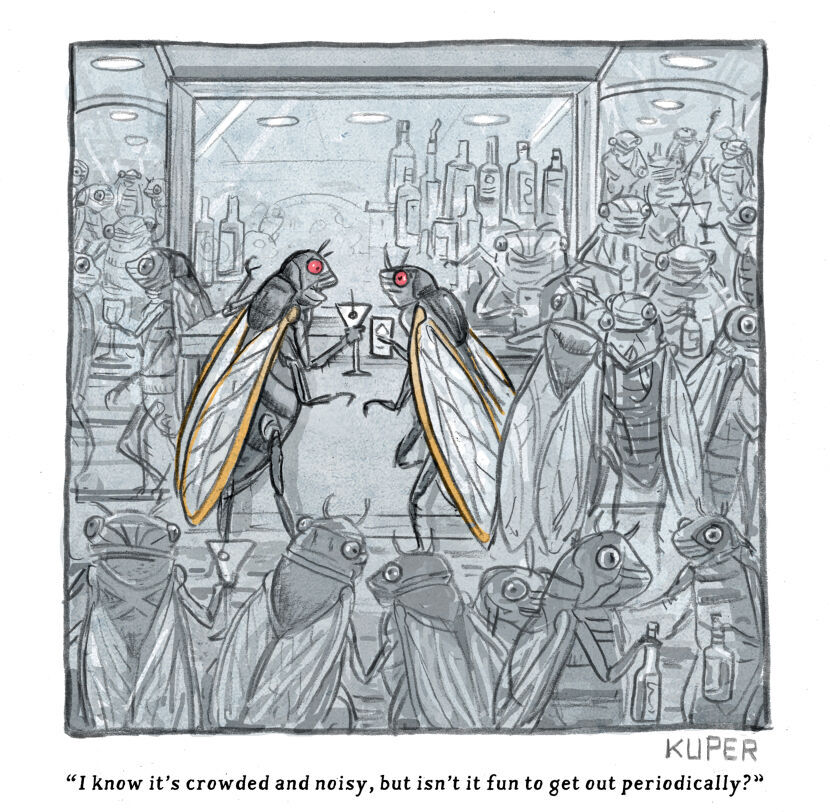 extra cartoon | Opinion | chronicleonline.com