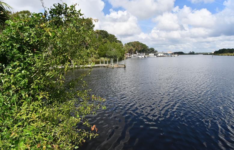 Longacre may tweak park plans to include RV pads | Local News ...