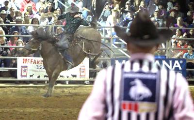 Citrus Stampede Rodeo at county fairgrounds this weekend; Proceeds ...