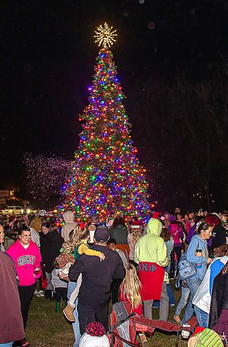 Crystal River Christmas Tree Lighting Festival 2024 | Local News ...
