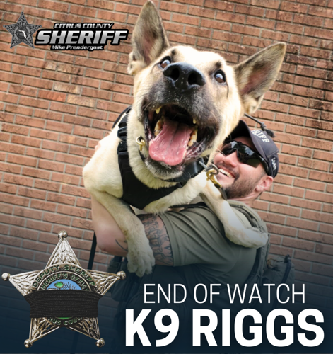 K9 Riggs: End of Watch | Local News | chronicleonline.com