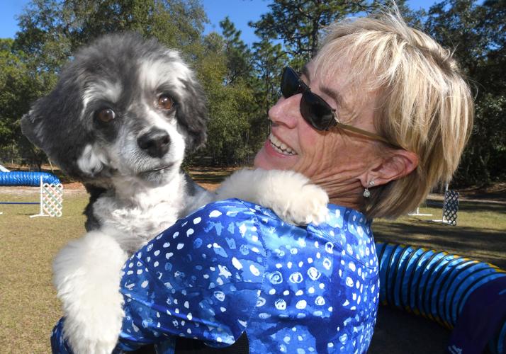 Tiny paws carry big talent | Local News | chronicleonline.com