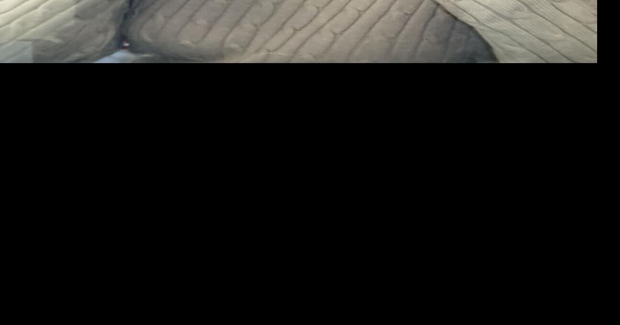 Postscript: Barbara Wendler, ‘passionate wildlife advocate’ | Local News | chronicleonline.com