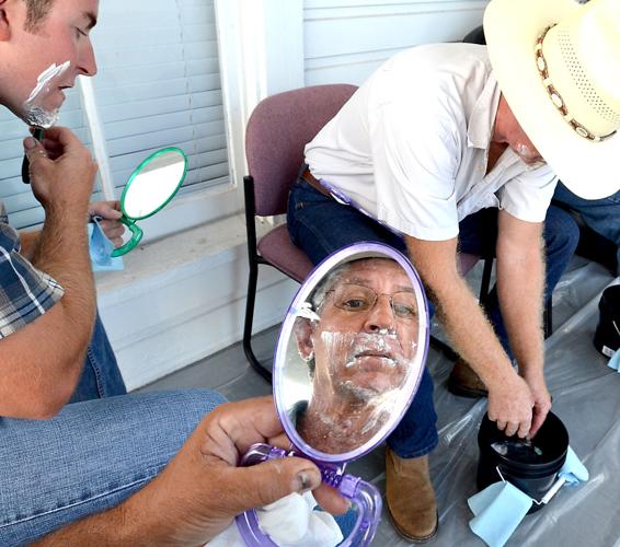 Whiskers galore | Local News | chronicleonline.com