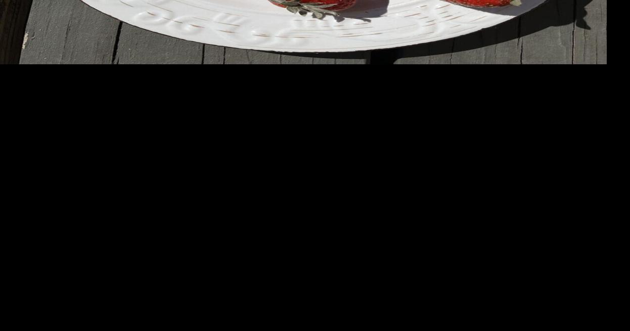 The Amish Cook: Yoder children learn to be little shepherds for new ...