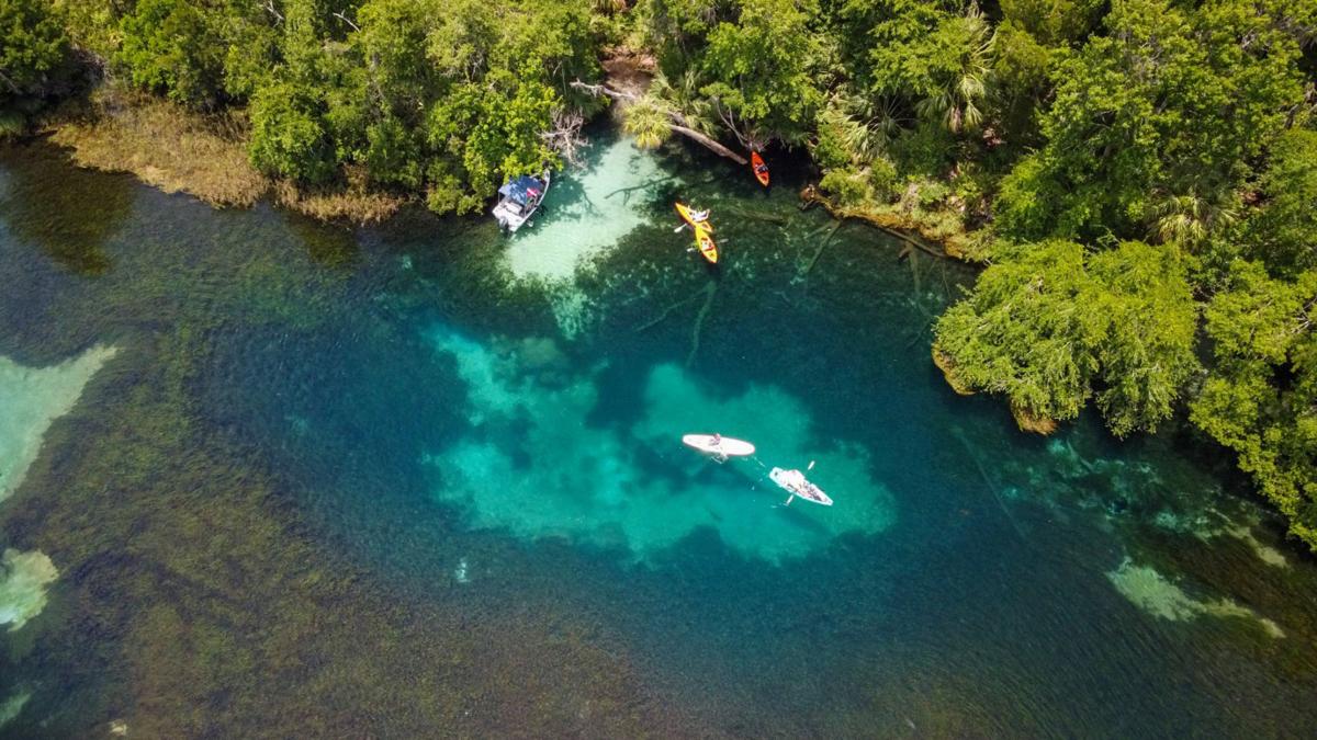 State approves funding for protection of Gissy Rainbow River Ranch ...