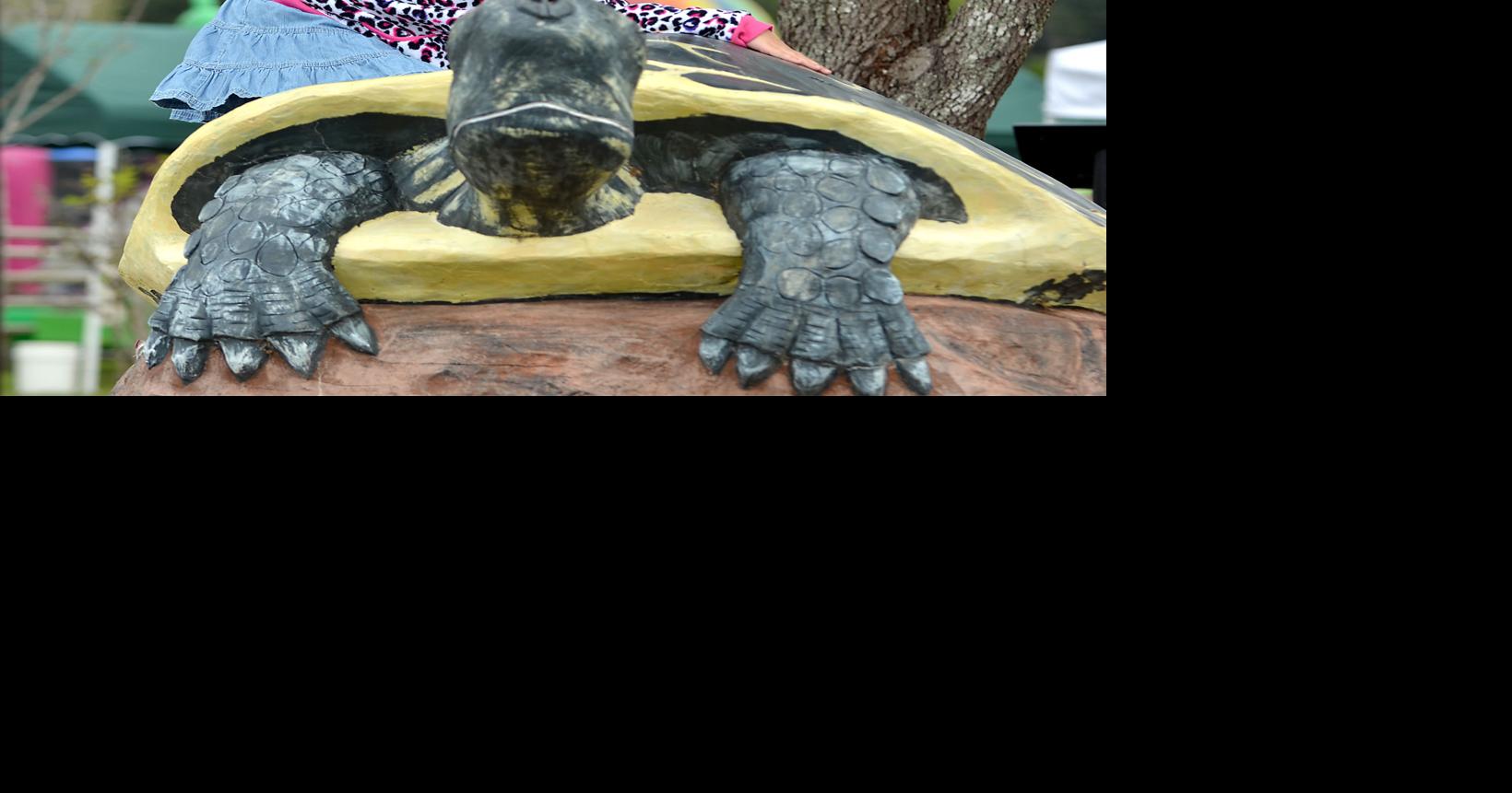 Crawling with cooters: Sonny Cooter throws annual party in Inverness ...