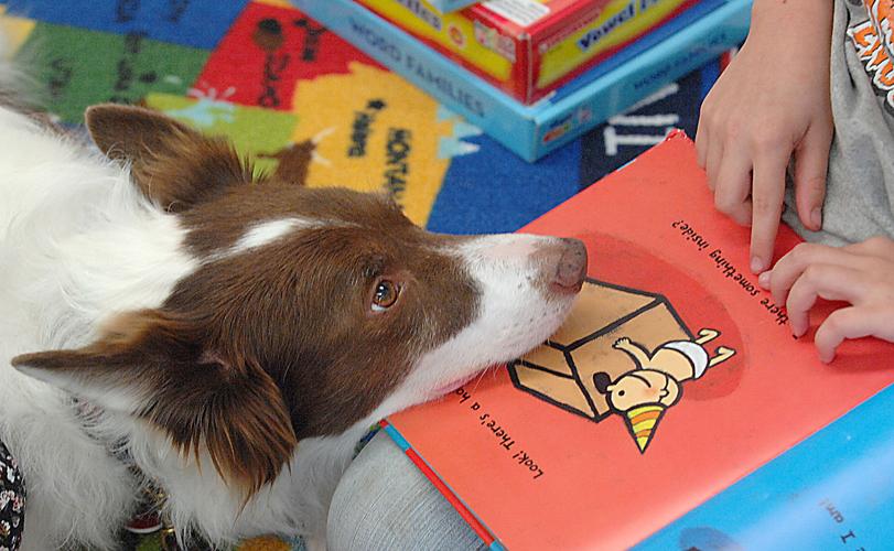 Paws for emphasis | Local News | chronicleonline.com