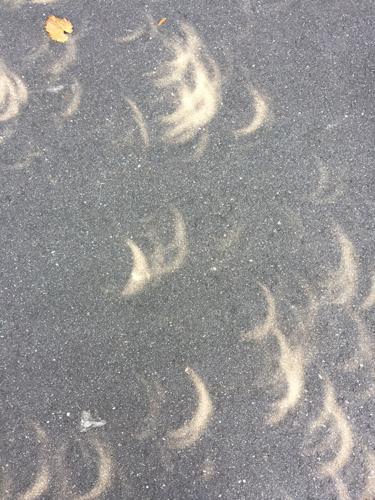 Eager for the eclipse: Boy Scouts | Community | chronicleonline.com