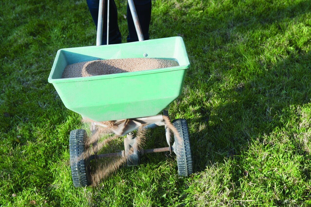 Summer fertilizer rules kick in | Local News | chronicleonline.com