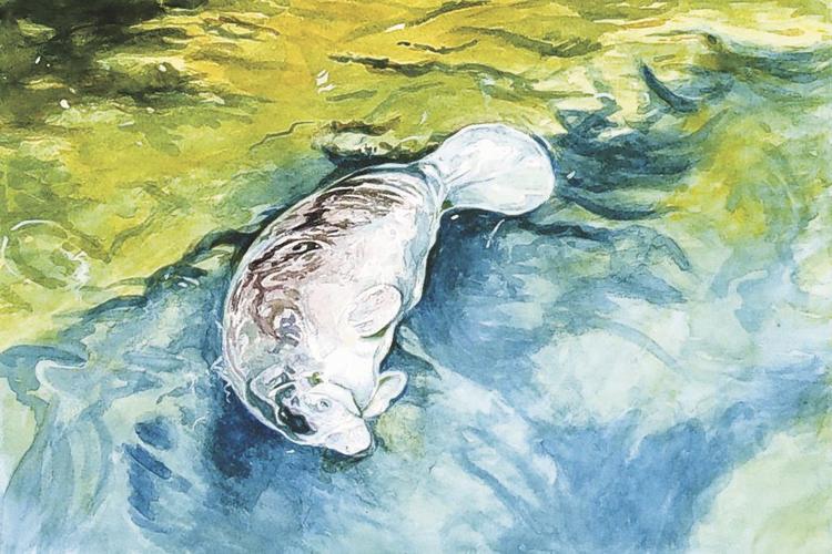 Wonderful watercolors at two venues | Community | chronicleonline.com