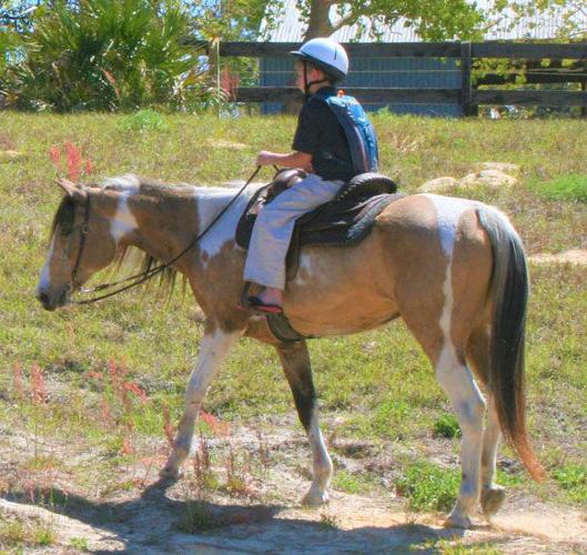 Take a tour of the Pine Ridge Equestrian Center | | chronicleonline.com