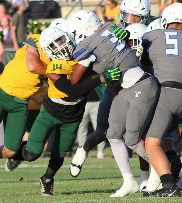 Page E1 | e-Edition | chronicleonline.com