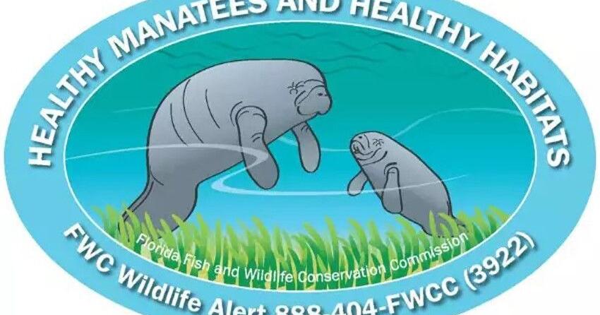 Manatee, sea turtle decals are ready for purchase from FWC | Local News ...