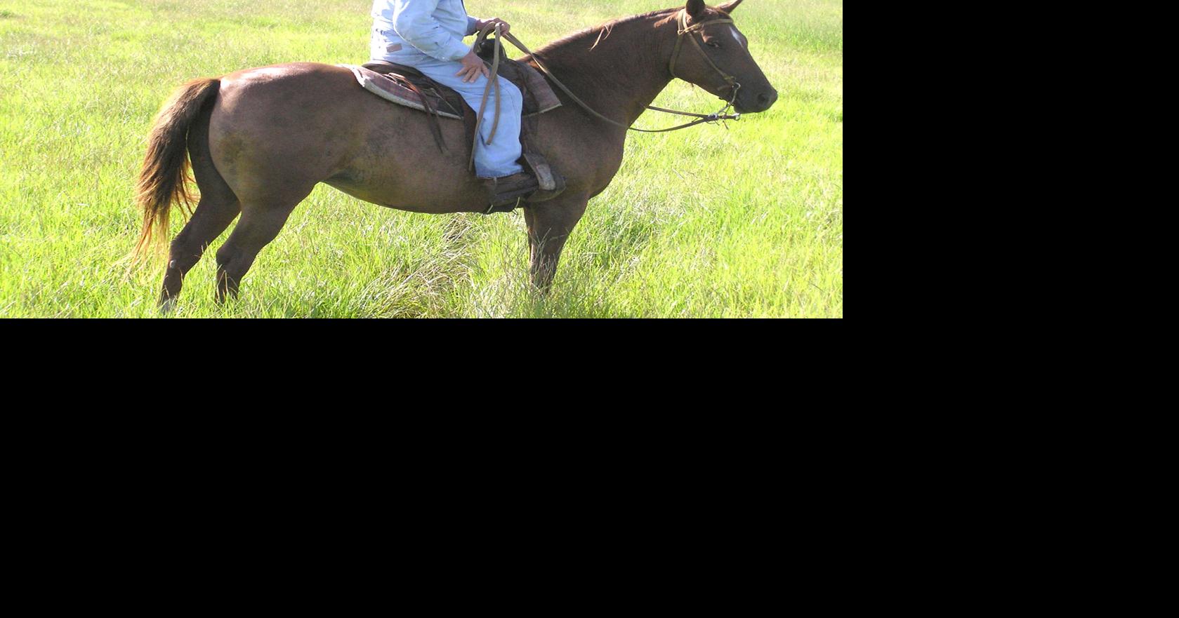 Postscript Albert Rooks: Citrus County native, lifelong rancher, the ...