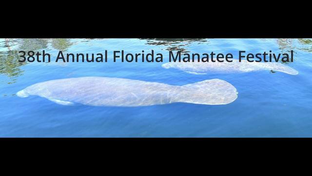 Manatee Florida Manatee Festival 2025 | Local News | chronicleonline.com