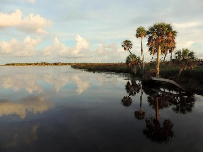 Capturing Wild Florida: Photographer Gary Kuhl shares award-winning ...