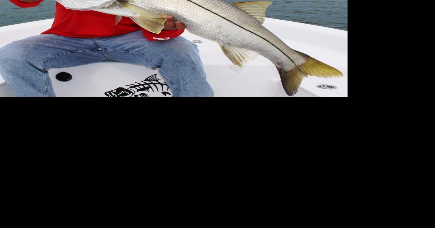 Snook season to close May 1 | Local News | chronicleonline.com