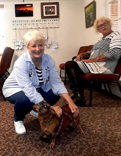 Honoring, blessing our furry and feathered friends | Local News ...