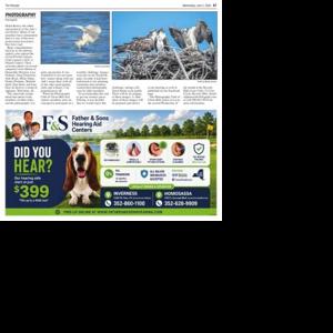 Pinnacle June 2026 Page A7 | Special Sections e-edition ...