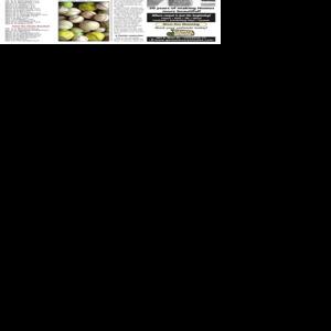 Page B1 | Levy Citizen | chronicleonline.com