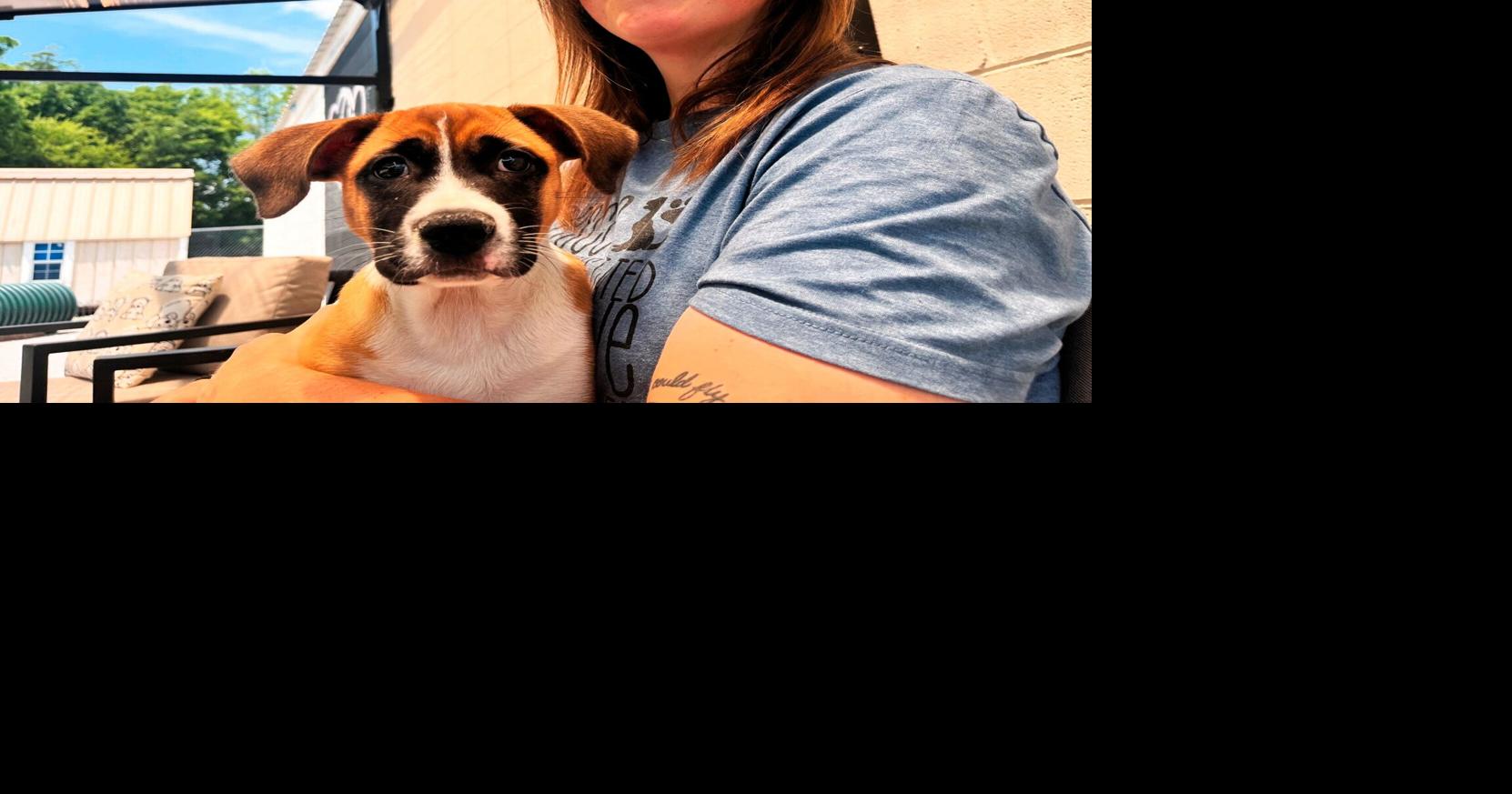Dog Days: Humane Society to offer dog adoption event during MATS Family ...