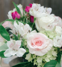 Brenda Lee Biggs | Obituaries | citizentribune.com