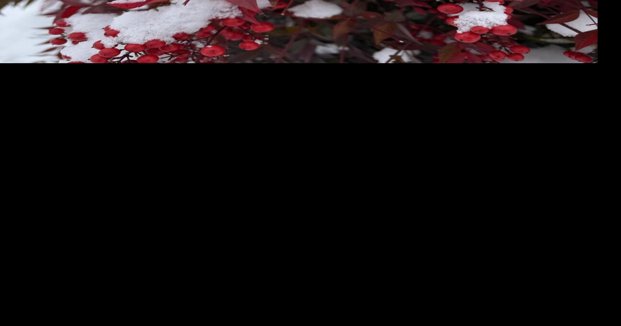 NWS: Expect snow and ice to last days | Local News | citizentribune.com