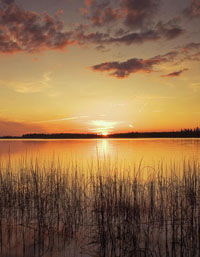 Ronald E. Hopson | Obituaries | citizentribune.com