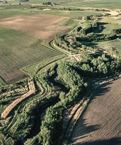 riparian buffer plants