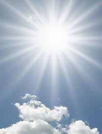 Dee Ann (Terry) Yarbrough | | citizentribune.com