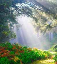 Dale Kevin Watterson | Obituaries | citizentribune.com