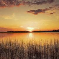 Jamie Scott Bowlin | Obituaries | citizentribune.com