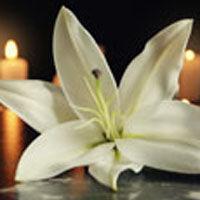 Lisa Ann Ruppert | Obituaries | citizentribune.com