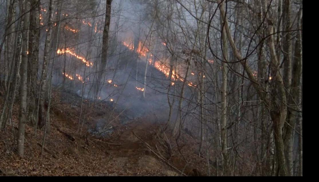 Fire reported in Cherokee National Forest | Local News | citizentribune.com