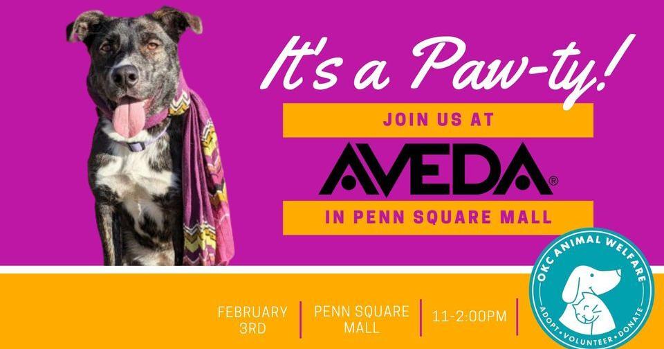OKC Animal Welfare’s February “Endless Love” event helps save pet lives ...