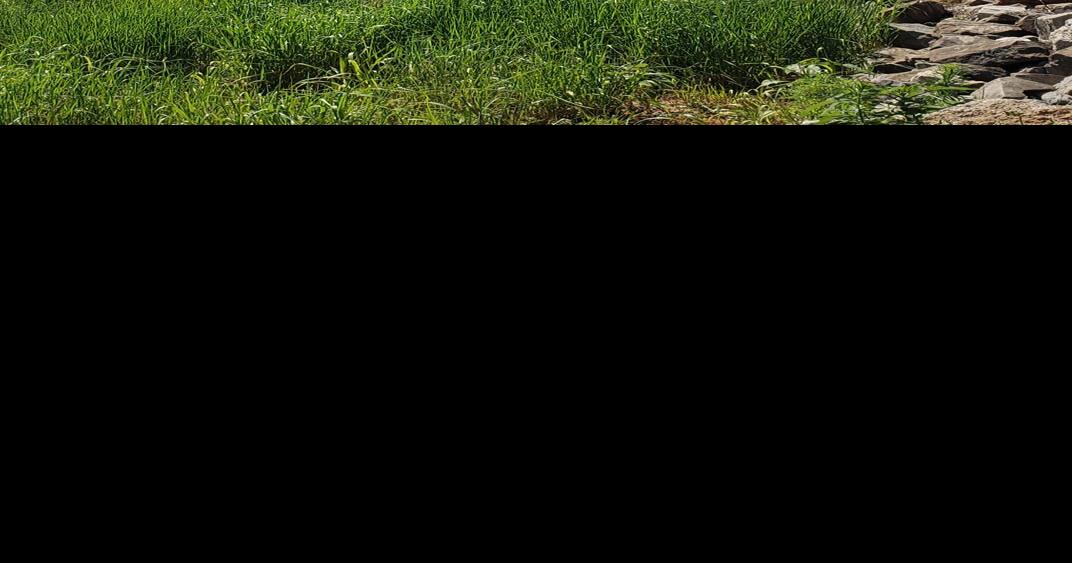 Oklahoma City Water Trust requests Canton Lake water release for ...