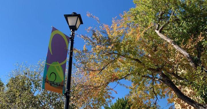 Come to the November First Friday Gallery Walk in the Paseo Arts ...