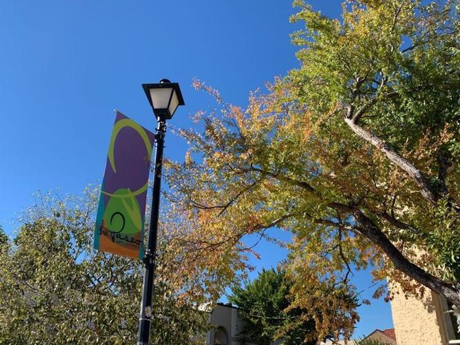 Come to the November First Friday Gallery Walk in the Paseo Arts ...