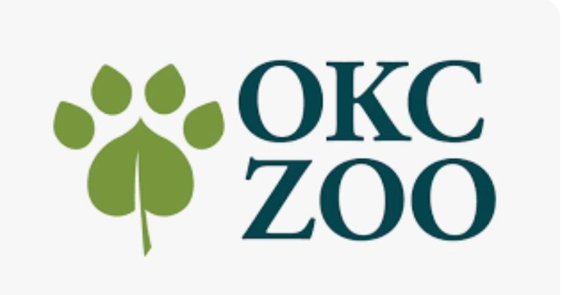 OKC Zoo scientists conduct first study revealing elephants’ advanced ...