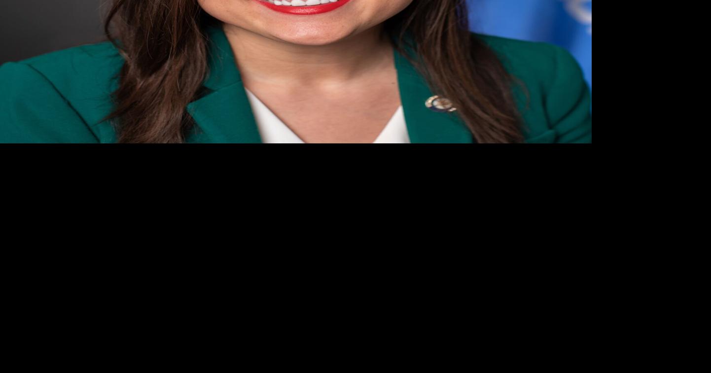 House Democratic Leader Cyndi Munson Honored for Guarding, Protecting ...