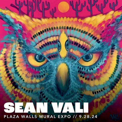 Oklahoma Mural Syndicate presents 9th annual Plaza Walls Mural Expo ...